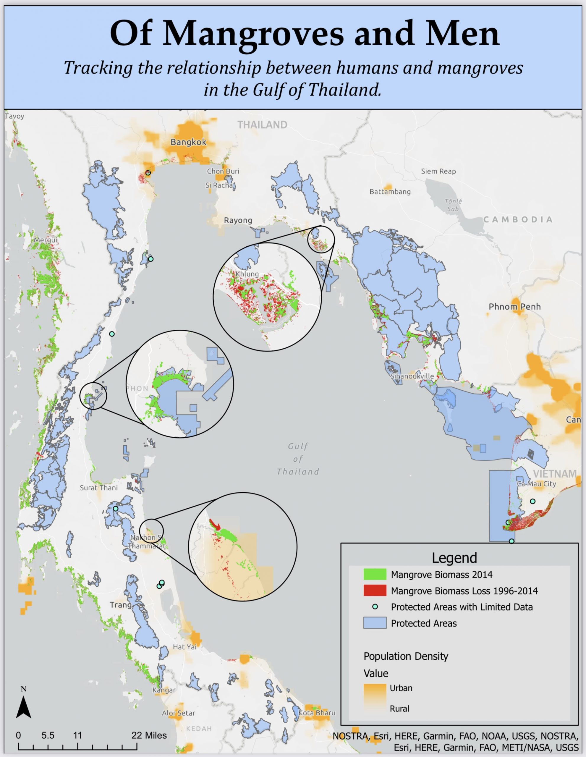 Mangrove Loss in SE Asia | Alice McGown